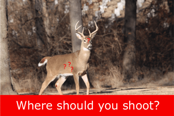 Deer Anatomy Chart - Learn where to shoot a whitetail deer | N1 Outdoors