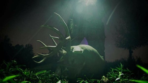 18-point whitetail with bow [and other huge bucks!] | N1 Outdoors