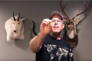 FOB Archery Review - FOBs vs Vanes | N1 Outdoors