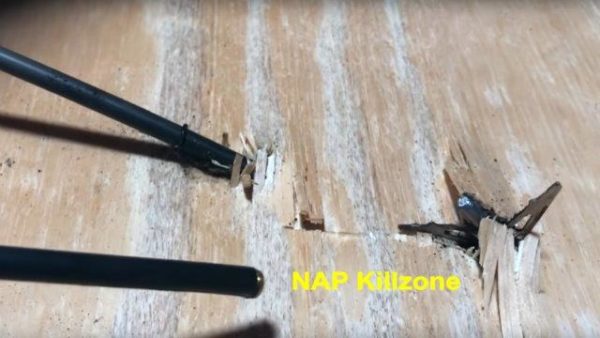 Afflictor Hybrids & fixed broadheads review [in detail] | N1 Outdoor