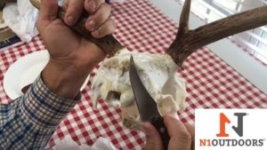 European mount - Step-by-step instructions | N1outdoors.com