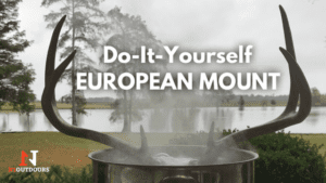 DIY European mount [Step-by-step instructions!] | N1outdoors.com