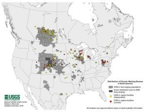 Deer delimma: EHD and CWD - Can they be stopped? | N1 Outdoors