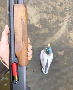 Duck hunting shotguns - which type is best? | N1 Outdoors