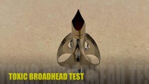 Toxic Broadheads Review (In-depth testing) | N1 Outdoors