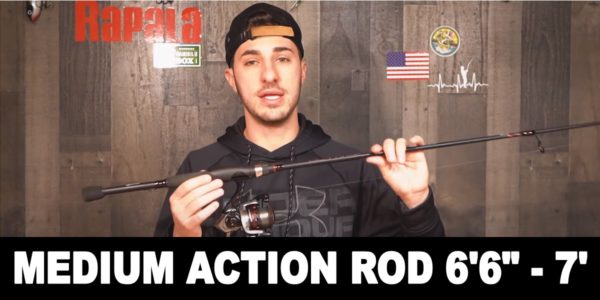 Best all-around fishing rod setup? [find out!] | N1 Outdoors