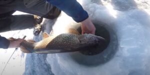 Learn how to go ice fishing [step-by-step] | N1 Outdoors