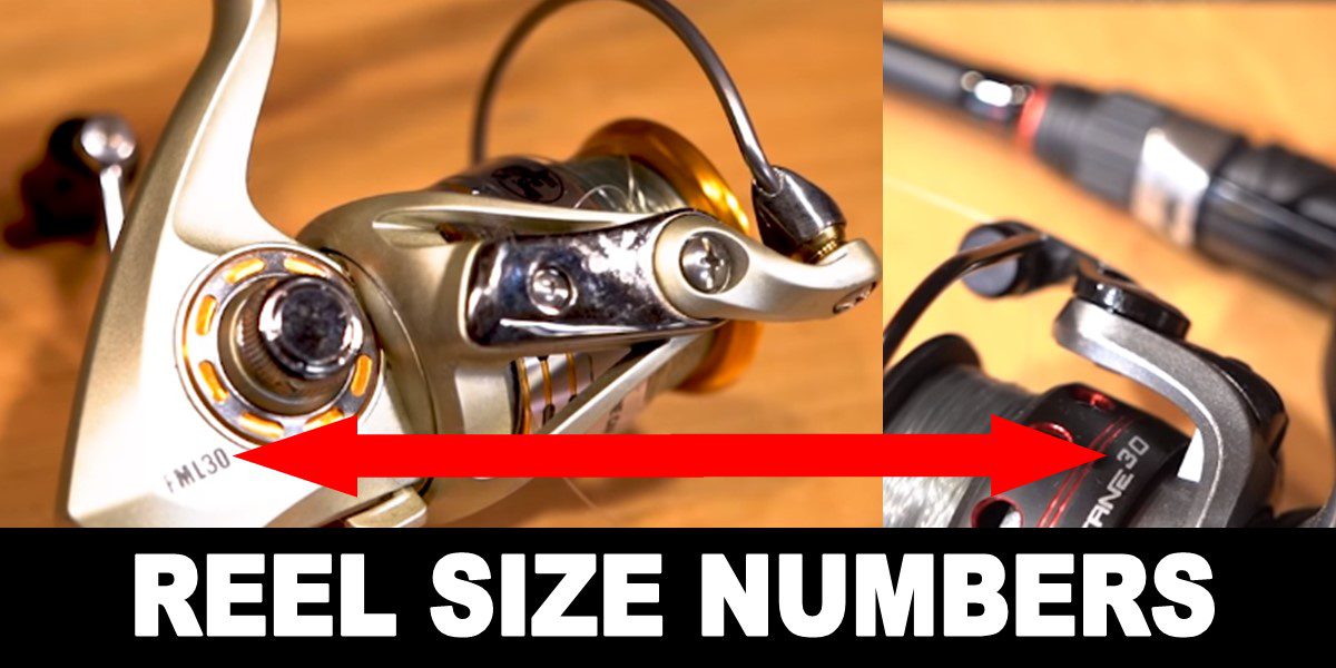 Best all-around fishing rod setup? [find out!] | N1 Outdoors