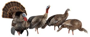 Turkey hunting tips for beginners [bag a gobbler!] | N1 Outdoors