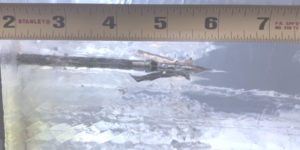 Are Rage Trypan NC broadheads right for you? | N1 Outdoors