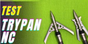 Are Rage Trypan NC broadheads right for you? | N1 Outdoors