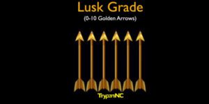 Are Rage Trypan NC broadheads right for you? | N1 Outdoors