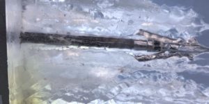 Are Rage Trypan NC broadheads right for you? | N1 Outdoors