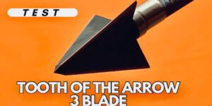 Tooth Of The Arrow broadheads [Should you shoot them?] | N1 Outdoors