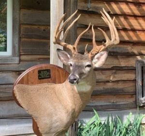 Should I Shoot Spike Bucks Or Not? | N1 Outdoors