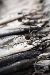 Types of fishing hooks [and when to use them] | N1 Outdoors