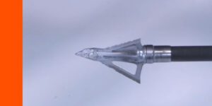 Bolt Cutter broadheads review [in-depth testing!] | N1 Outdoors