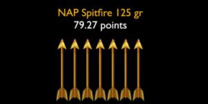 NAP Spitfire broadheads testing [Inside Information] | N1 Outdoors