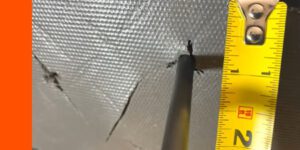 NAP Spitfire broadheads testing [Inside Information] | N1 Outdoors