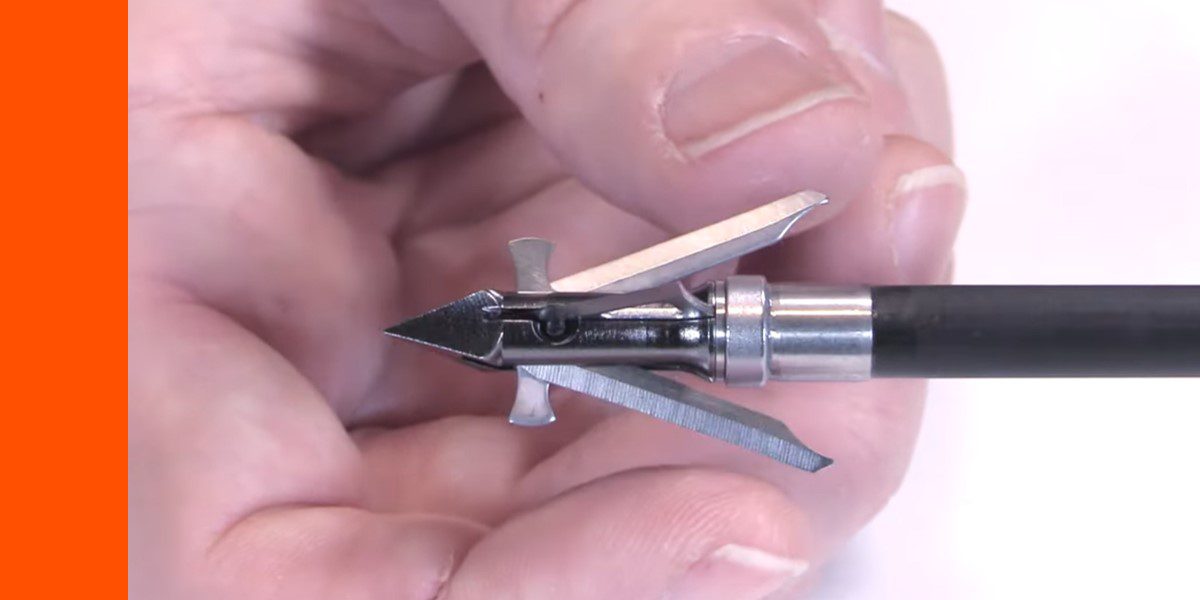 Should the Muzzy Trocar HBX be in your quiver? | N1 Outdoors