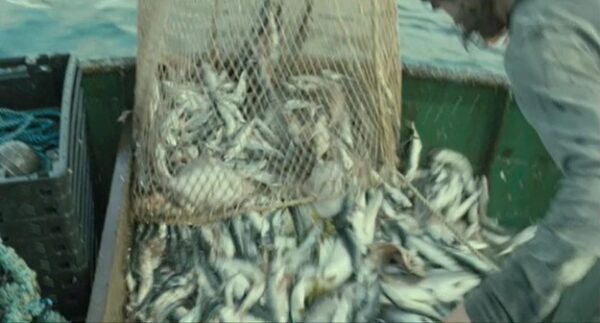 The top 8 fishing movies of all time! | N1 Outdoors