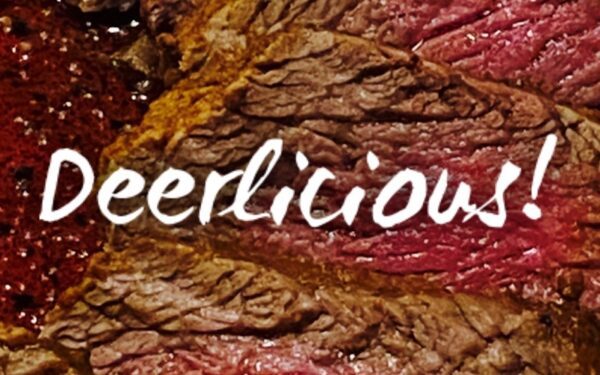 DEERlicious! [get the wild taste out of venison] | N1 Outdoors