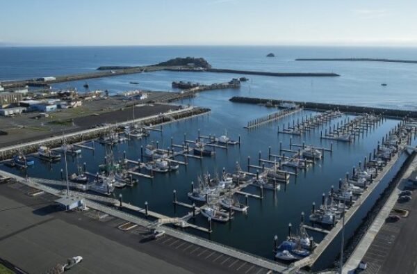 Best types of floating docks for boaters | N1 Outdoors