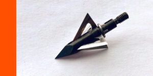 Super slick broadhead? [Slick Trick 125-gr review!] | N1 Outdoors