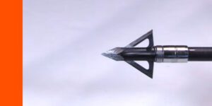 Super slick broadhead? [Slick Trick 125-gr review!] | N1 Outdoors
