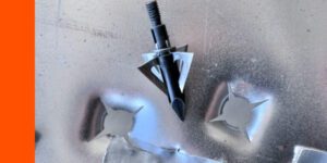 Super slick broadhead? [Slick Trick 125-gr review!] | N1 Outdoors
